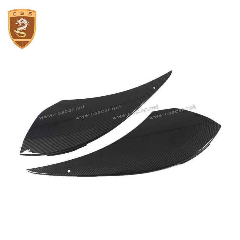 Lotus Cars Exige S2 Carbon Fiber Cover Plate