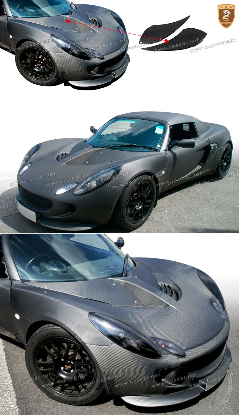 Lotus Cars Exige S2 Carbon Fiber Cover Plate