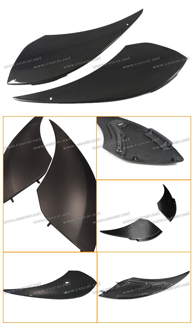 Lotus Cars Exige S2 Carbon Fiber Cover Plate