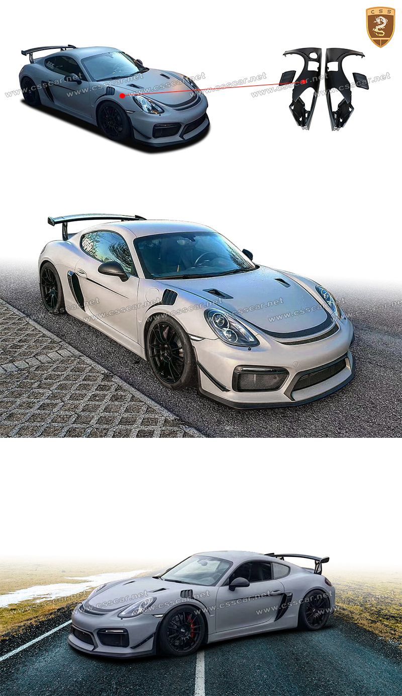 PORSCHE 981 GT4 fenders