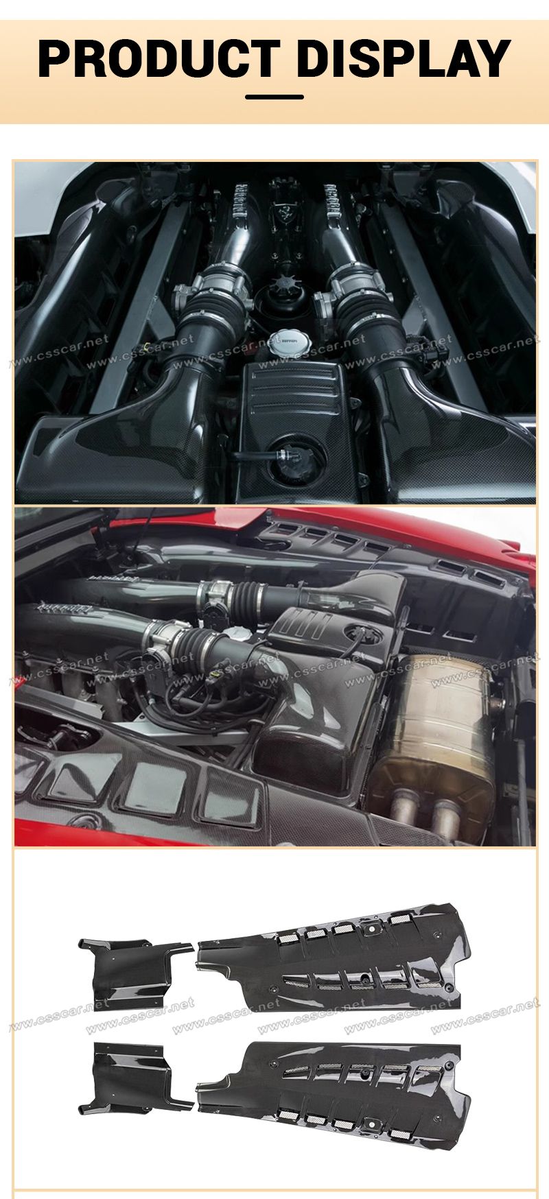 Ferrari F430 05-09 engine interior